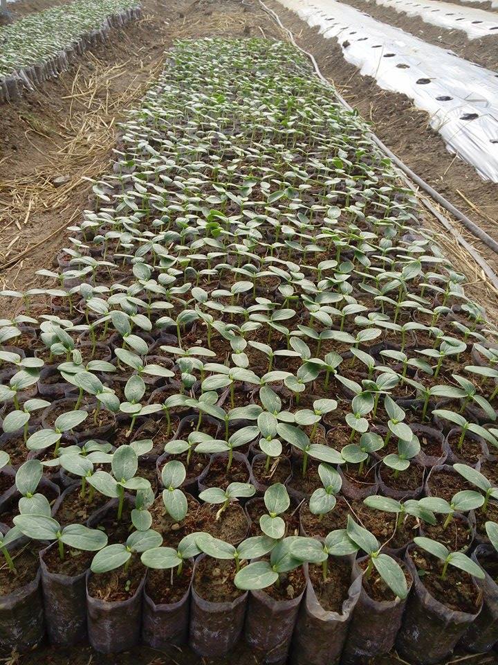 ANMC – We Know Agriculture